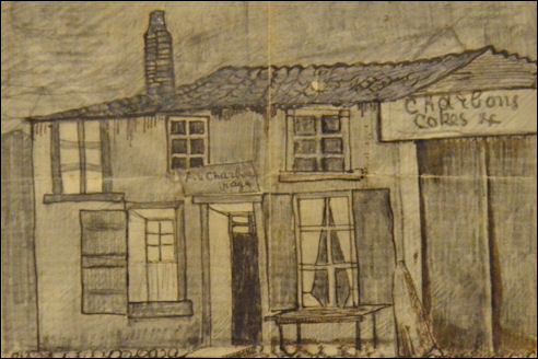 Vincent van Gogh: Kunstenaar in de Borinage